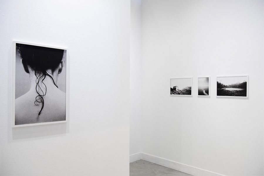 Retour sur l'exposition de Louis Colin-Andrieu aux Promenades ...